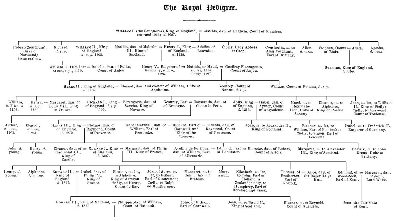 The Royal Family England Tree Anisa Firth The Royal Family England Tree Anisa Firth